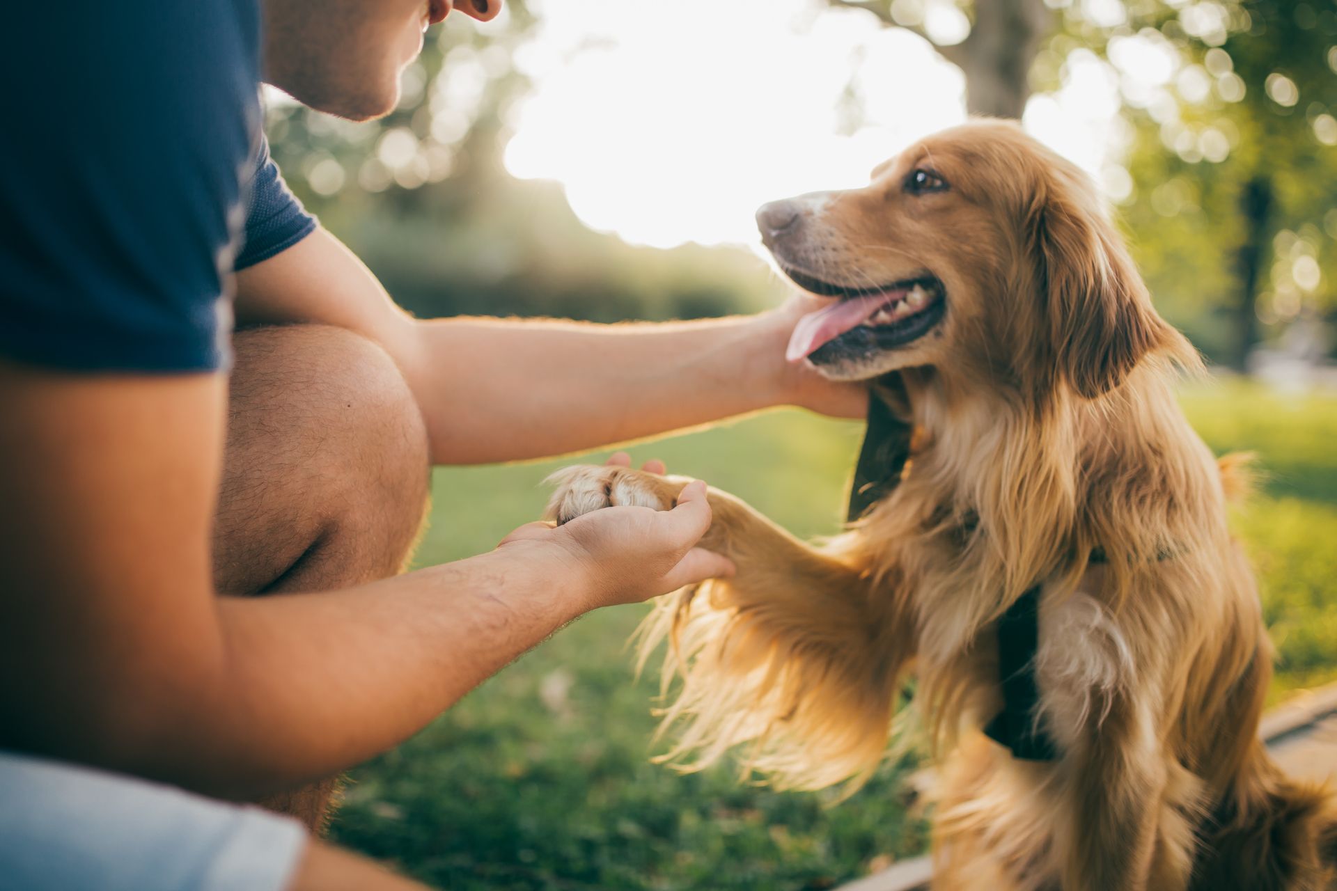 Veterinary Appointment In Topeka, KS | Animal Clinic Of North Topeka